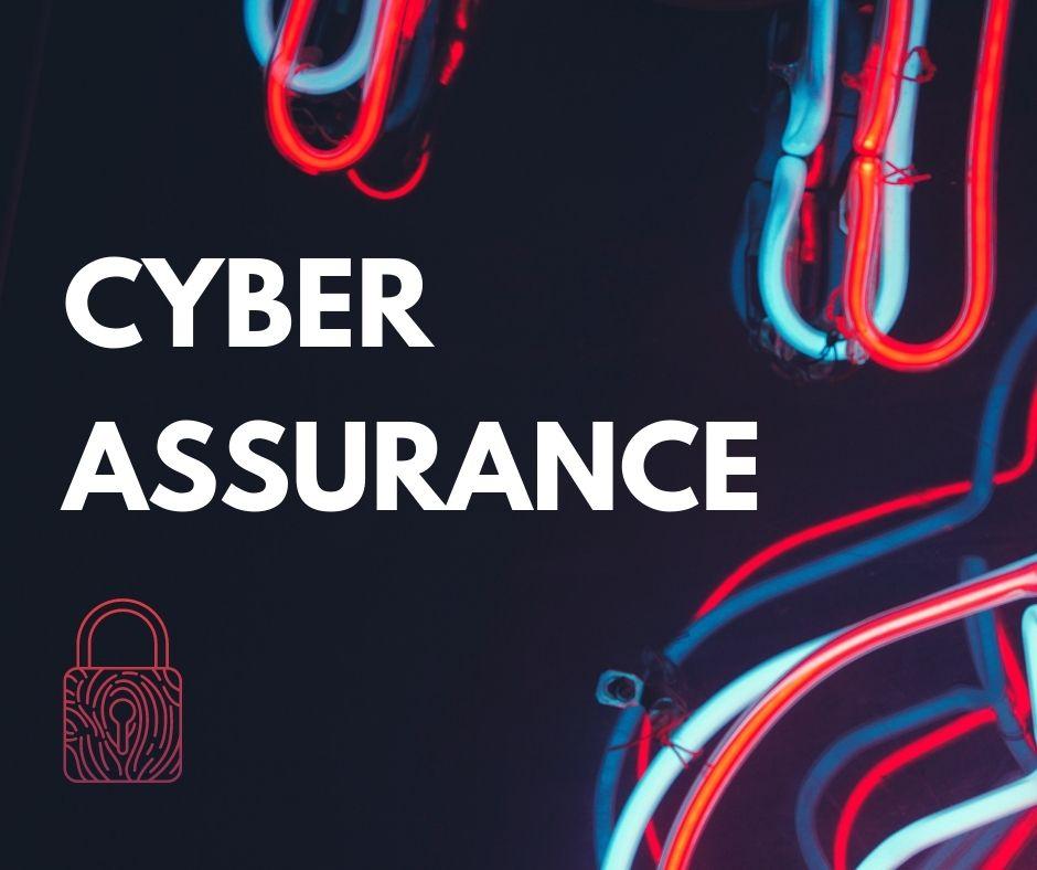 Cyber assurance | Groupe CapInfo