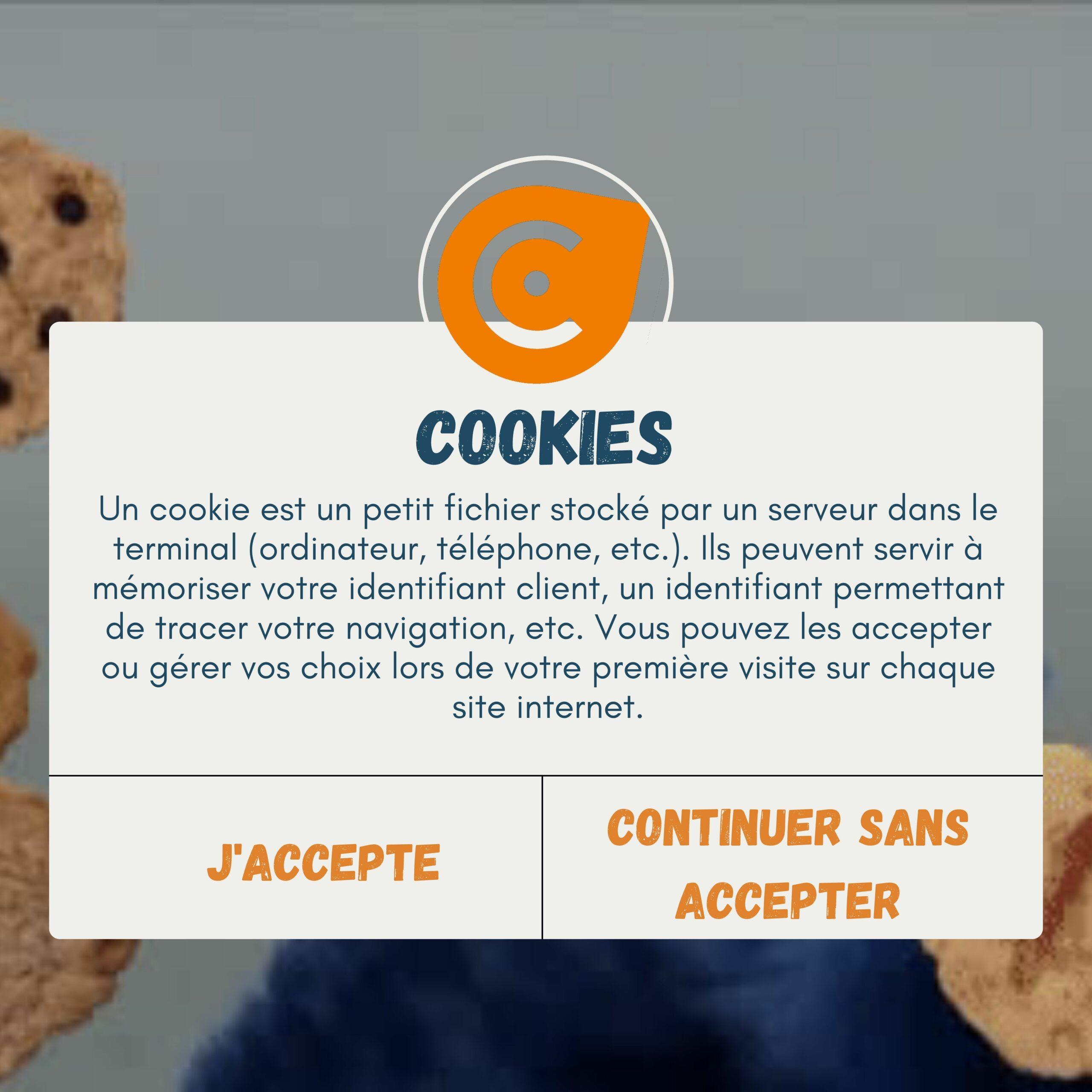Cookies informatiques : à quoi ça sert ? | Groupe CapInfo